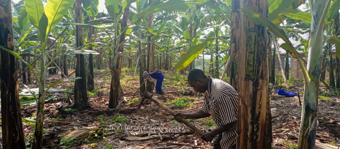 Covid-19 forced me to embrace Agriculture, Masereka is now a promising ...